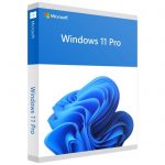 Windows 11 Pro Key - Gotkey.net