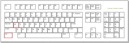 How to update/refresh one field or all fields in Word document ...