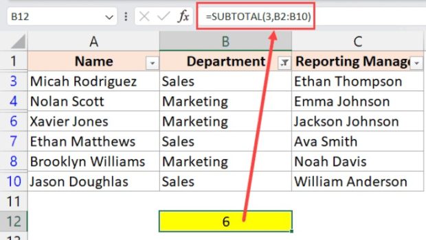 How to Count Filtered Rows in Excel