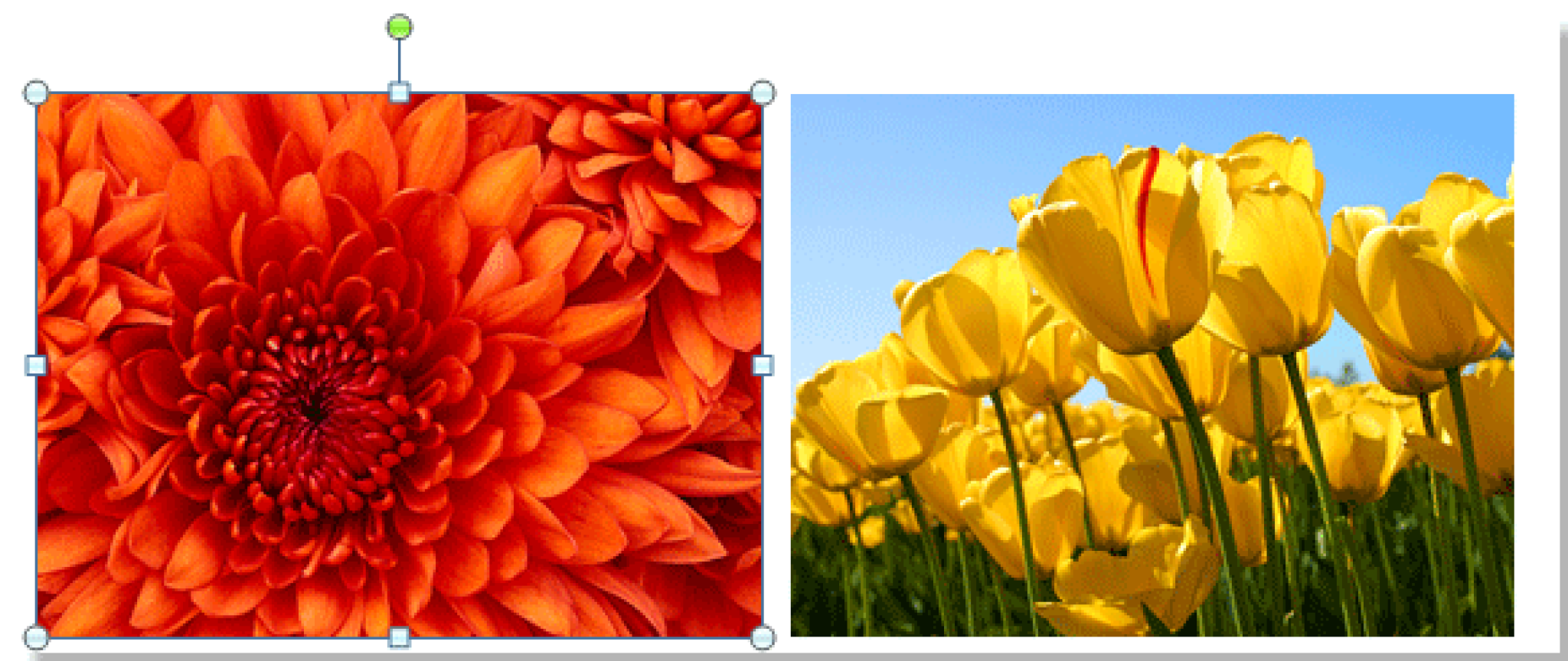 How to merge images or pictures into one in Word? - Gotkey.net