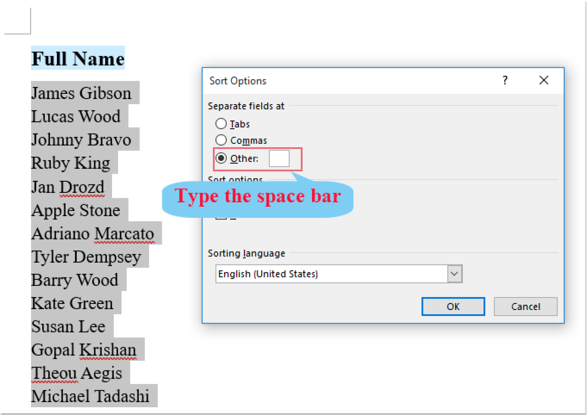 How to sort full names based on the last name in Word document ...